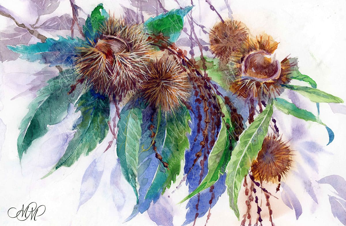 Chestnut Branch Watercolor Art – BotanicalClipArt